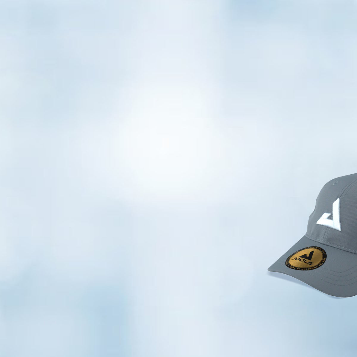 JOOLA | Shop Pickleball & Table Tennis Products - JOOLA USA